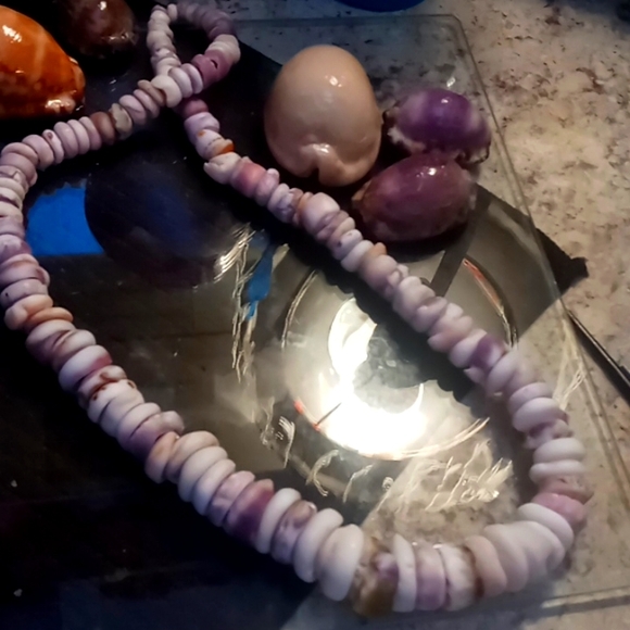 Jewelry | Big Island Puka Shell Neclace | Poshmark